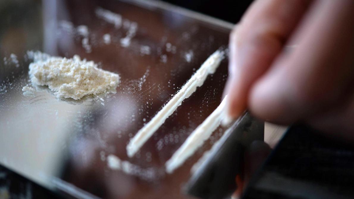 Les chiffres du trafic de drogues dans les zones rurales