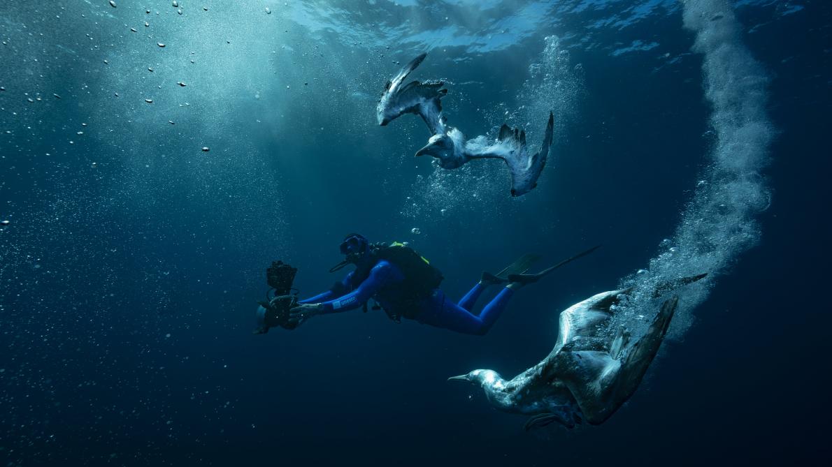 Alexis Rosenfeld, parrain photo du festival de Montier-en-Der, nous ...