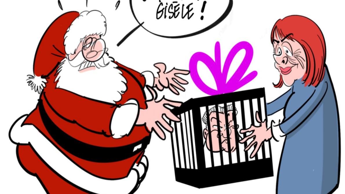 L’actualité vue par Alex : peine maximale pour Dominique Pelicot dans ...