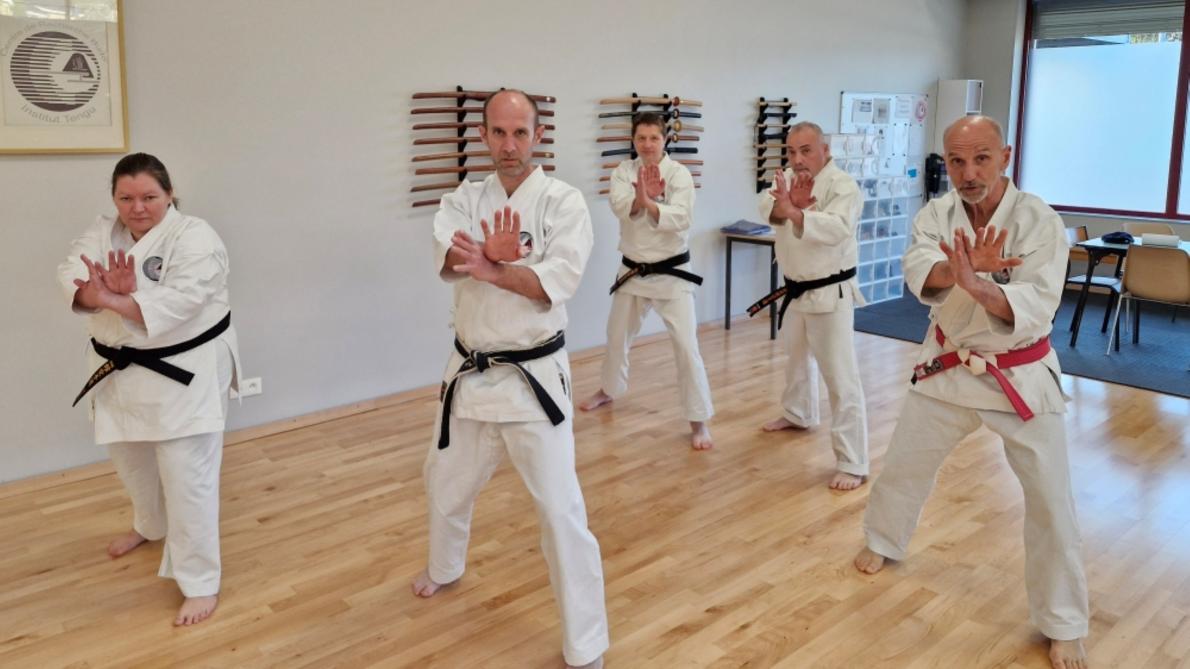 Distinctions : quatre nouvelles promotions dans ce dojo du Nord Ardennes