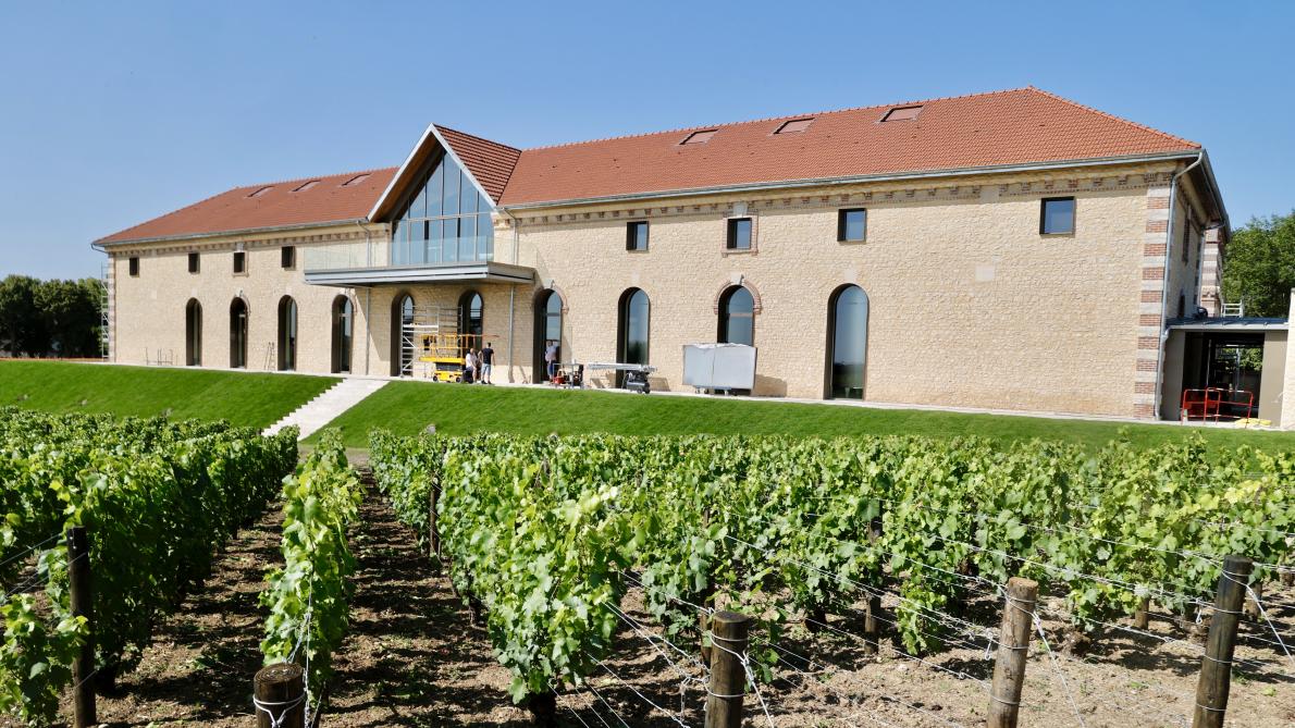 Le champagne Barons de Rothschild s’offre un centre de vinification de haute précision à Vertus