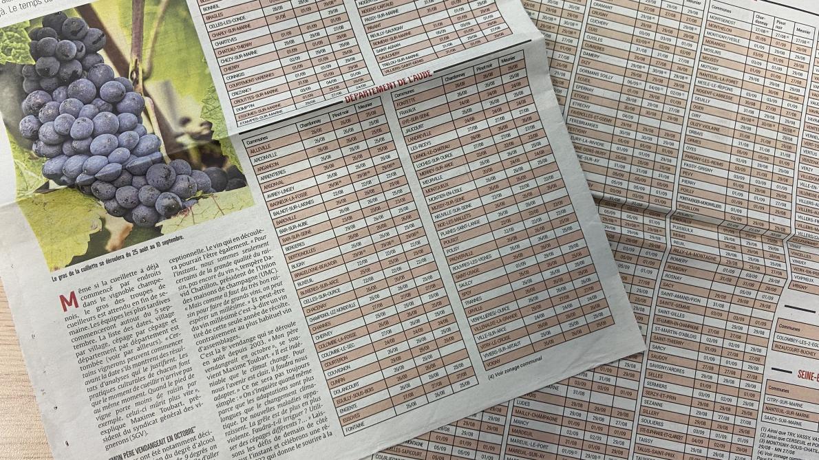 Bans des vendanges : d’où vient cette expression qui lance la récolte ...