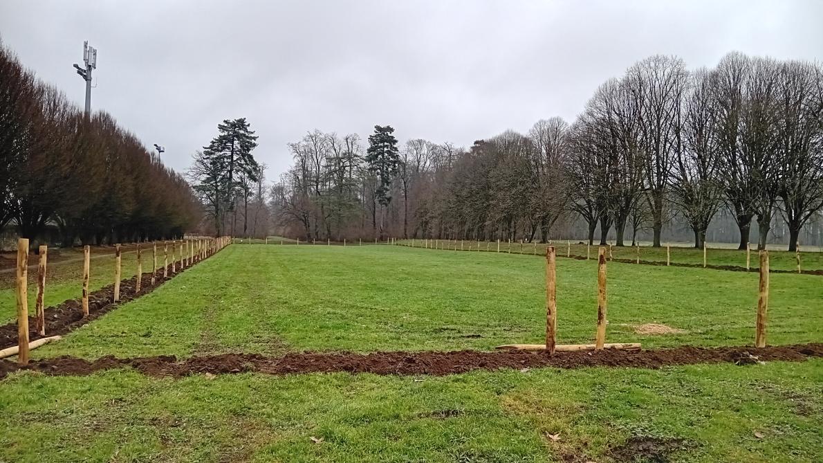 La Cité internationale de la langue française de Villers-Cotterêts ...