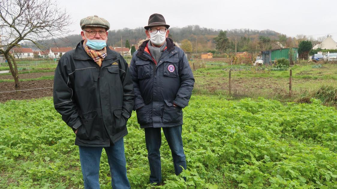 À Laon, les jardins ouvriers, antidote à la morosité