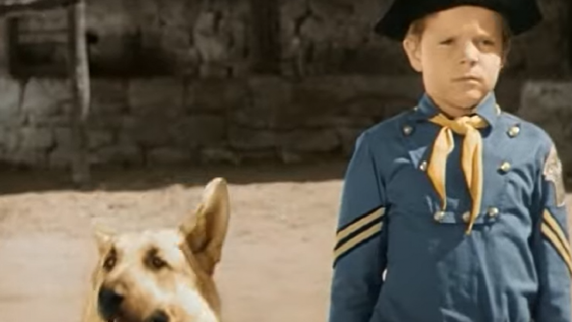 Lee Aaker, Rusty dans la série culte «Rintintin», est décédé