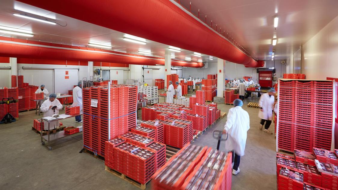 A Laon, Fruits rouges&Co va s’agrandir et embaucher