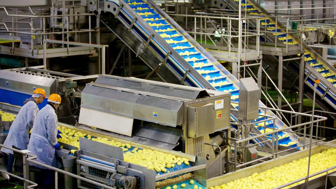 McCain annonce 17 millions d’euros d’investissement dans le Nord