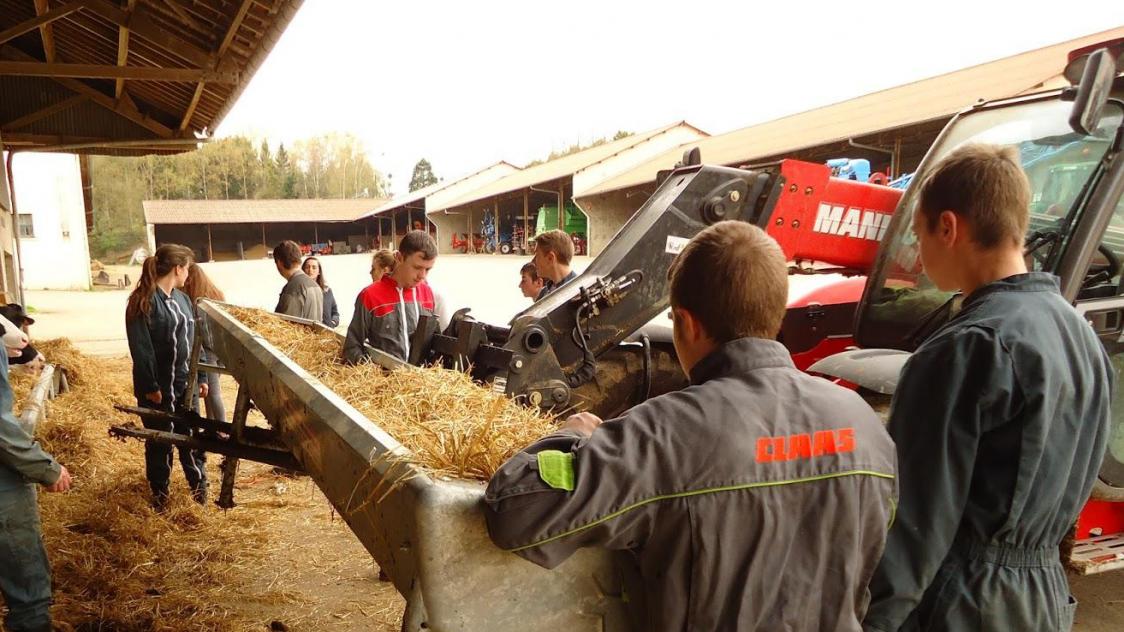 Une «Farm Reality» à la ferme du lycée agricole de Crézancy