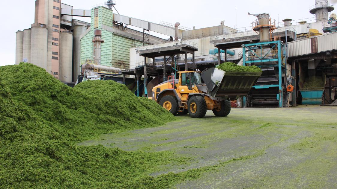 VIDÉO. Luzéal, une usine qui a su s’épanouir dans la campagne ...