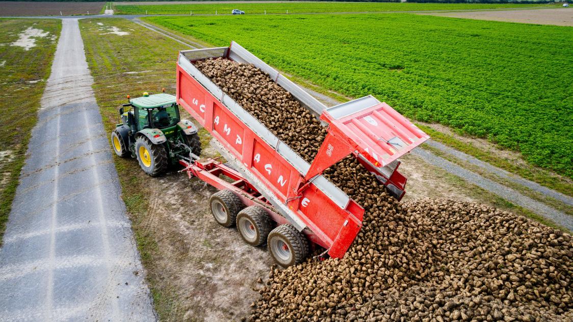 La campagne betteravière débute avec une semaine d’avance chez Cristal ...