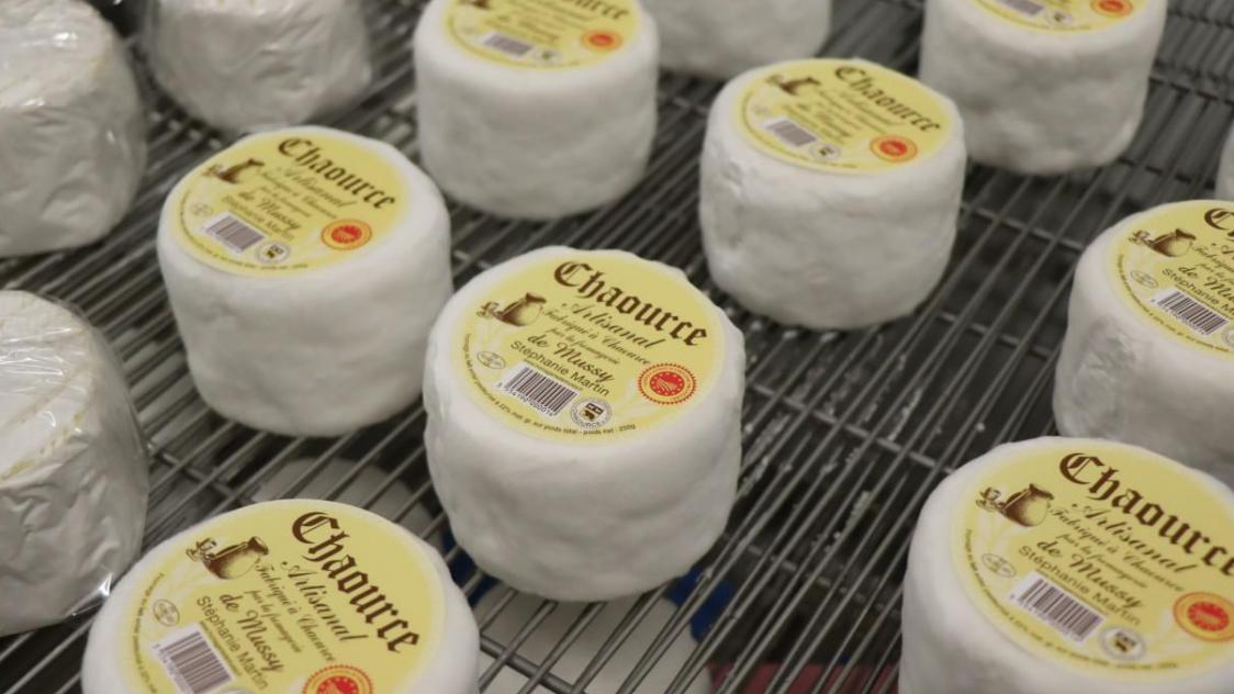 Le chaource s’invite aux tables des restaurants