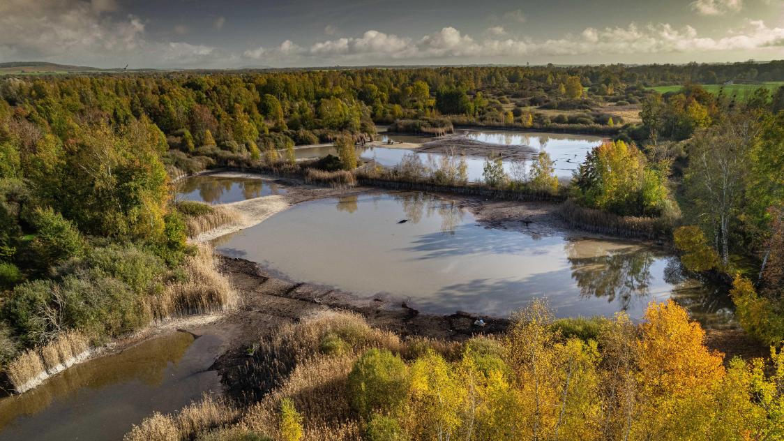 Les marais de Saint-Gond dans la Marne, un patrimoine naturel à redécouvrir