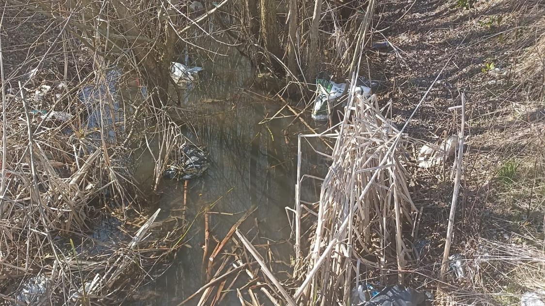 À côté de l’Intermarché de Sault-lès-Rethel, un dépotoir sauvage ...