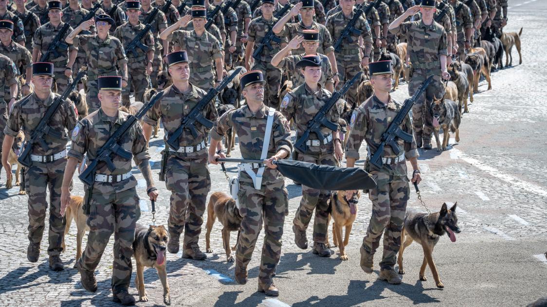 «Nos chiens sont très attendus par le public»: près de 80 bergers d’un ...