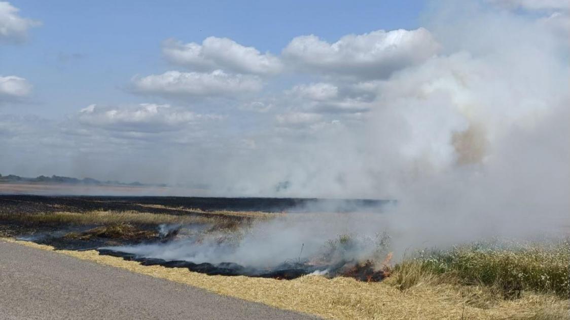 Plusieurs champs en feu dans le Grand Reims