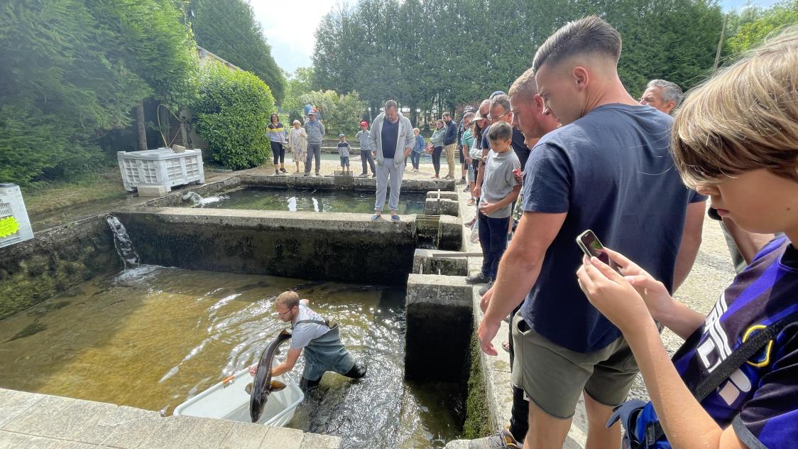 D’une éducation agricole à la pisciculture