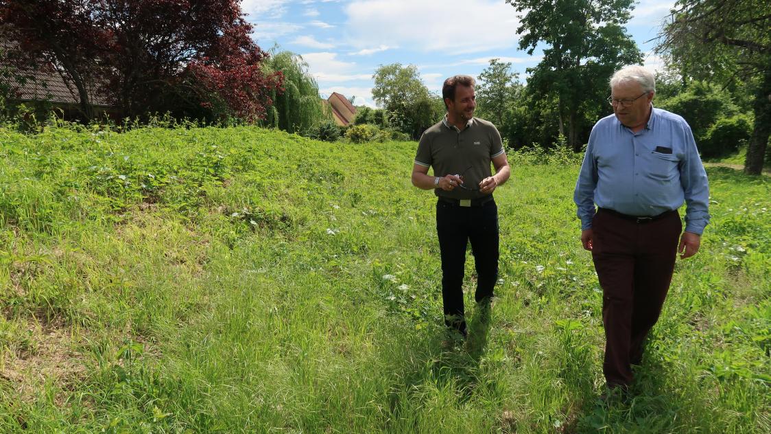 Les travaux sur la digue de Madagascar, à Châlons, pourraient être ...