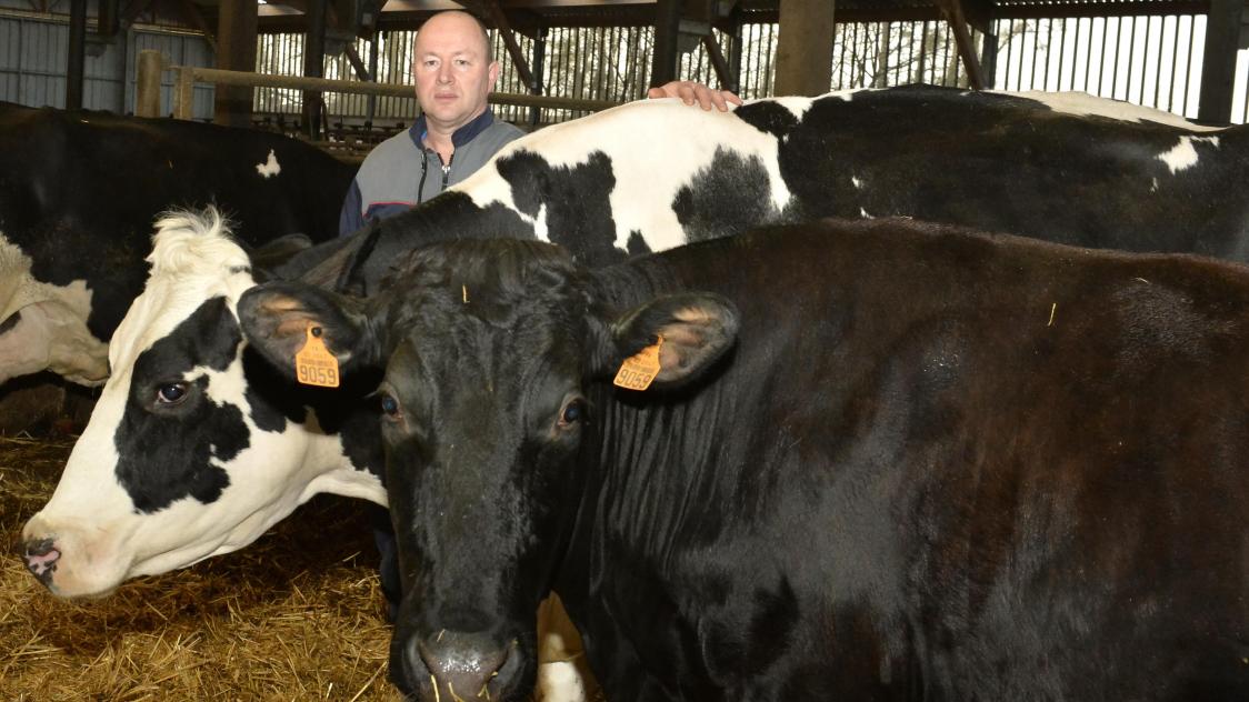 Éleveur de vaches laitières en Thiérache, Jean-Luc Pruvost s’attendait au ras-le-bol des ...