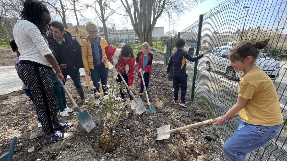 Vingt-six arbres ont été plantés dans la cour de l’école Vignes-Blanches à Épernay