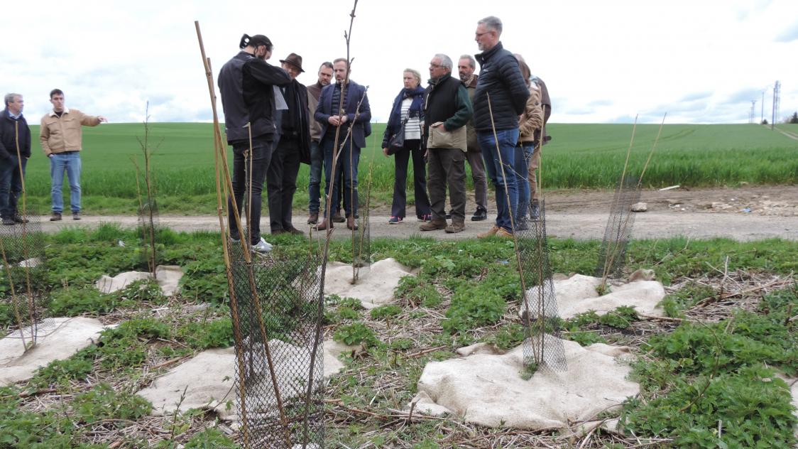 Des aménagements pour lutter contre les ruissellements et l’érosion des ...