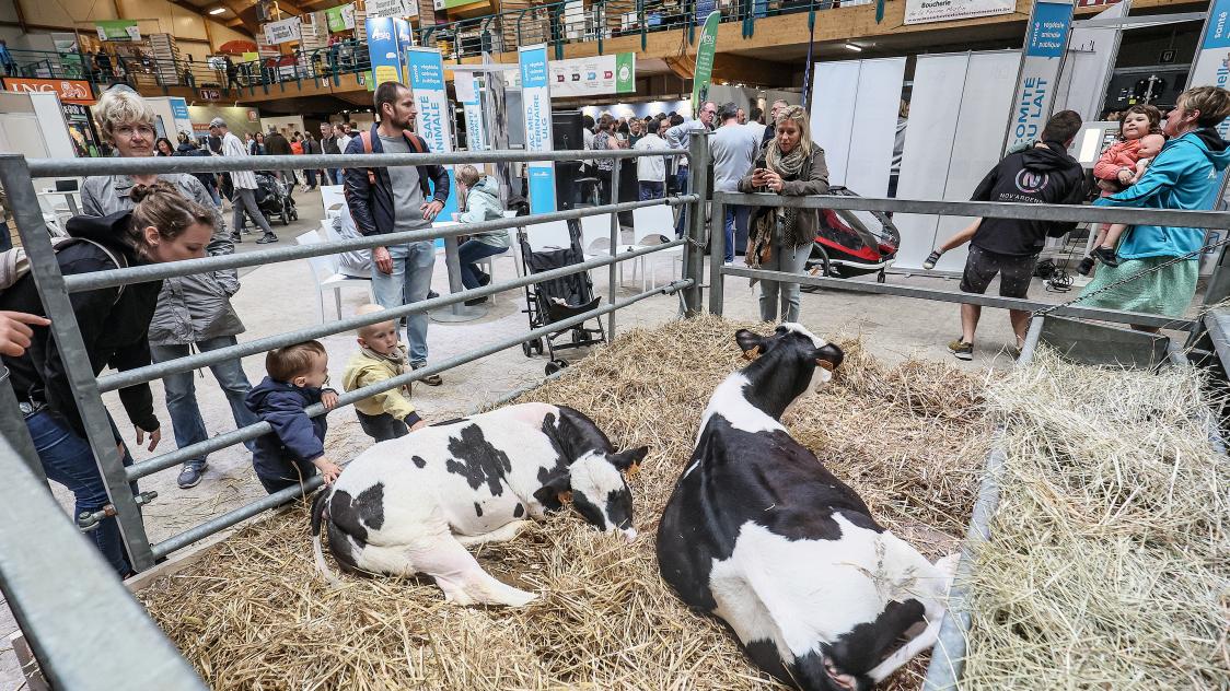 La Foire agricole de Libramont accueille 700 exposants pendant trois jours