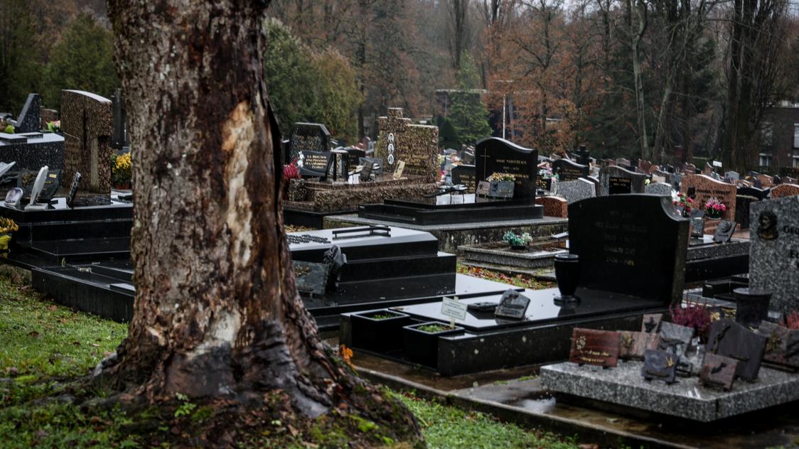 Cold case : faudra-t-il exhumer des corps dans un cimetière de ...