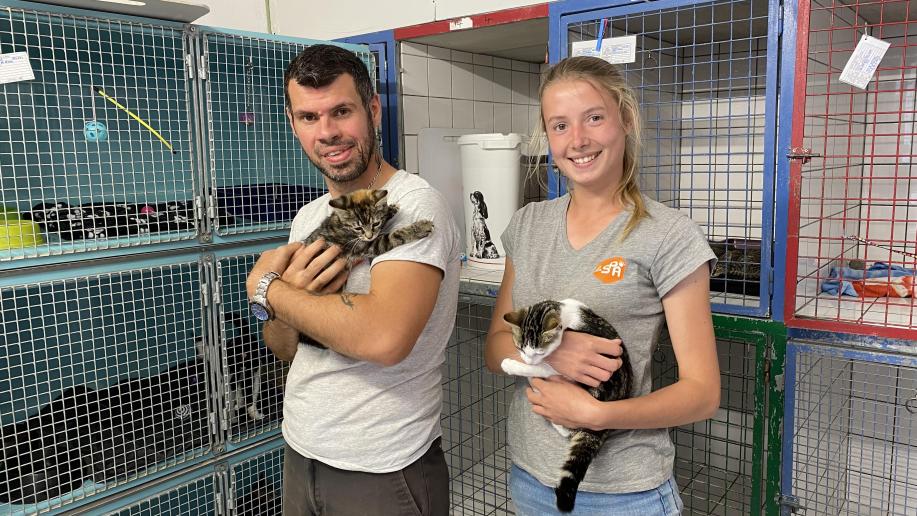 Les animaux de la SPA de Cliron seront transférés vers d’autres refuges