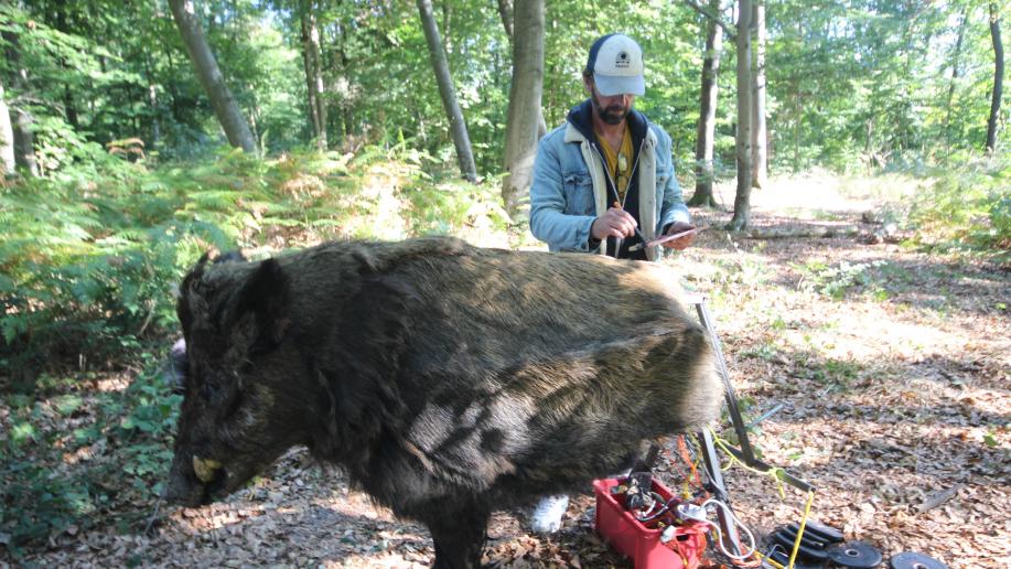 Didier Bourdon renfile sa tenue de chasseur lors d’un tournage entre l ...