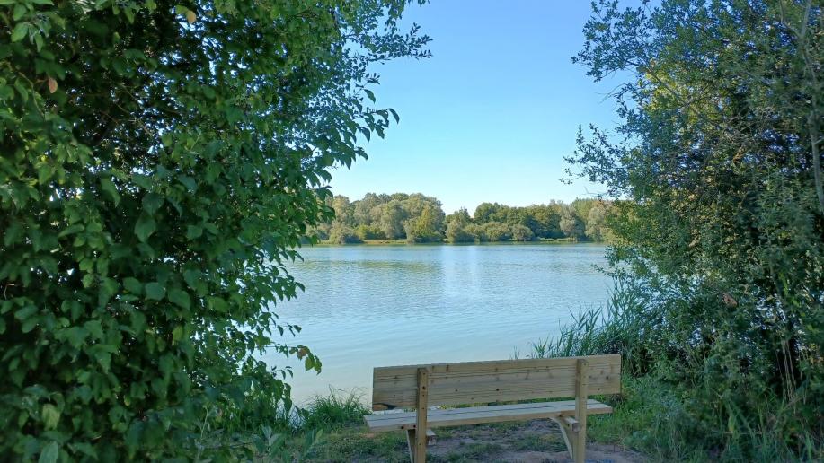 Des projets pour mettre en valeur la biodiversité de l’étang de ...