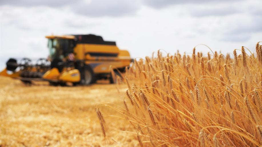 La moisson 2023 a commencé