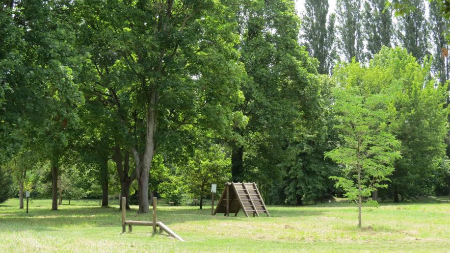 Quelque 70 000 € pour relancer l’activité hippique en Béchère à Romilly ...