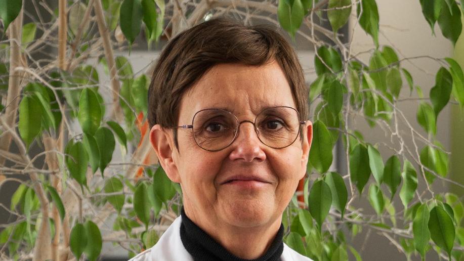 Un nouveau doyen à la faculté de médecine de l’université de Reims Un nouveau doyen à la faculté de médecine de l’université de Reims