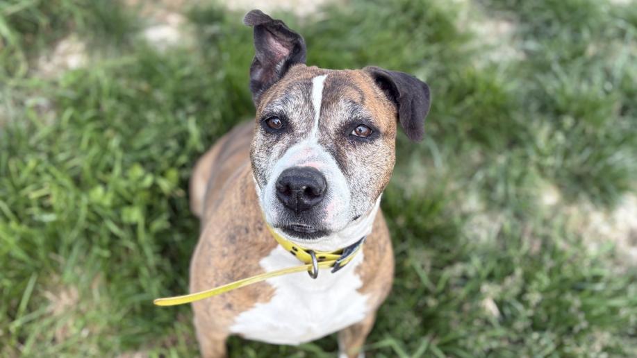 Epernay - Journal L'Union