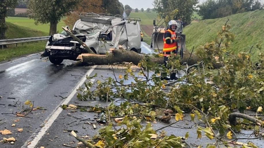 Tempête Amy : le conducteur d’une camionnette meurt écrasé par un arbre dans le nord de l’Aisne