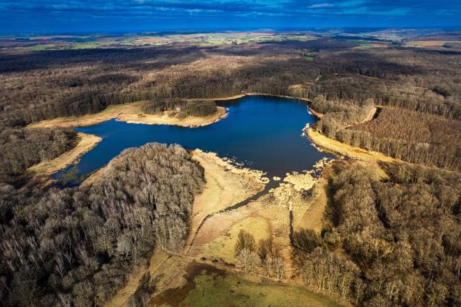 Gestion des forêts: le Domaine de Belval veut devenir la référence dans ...