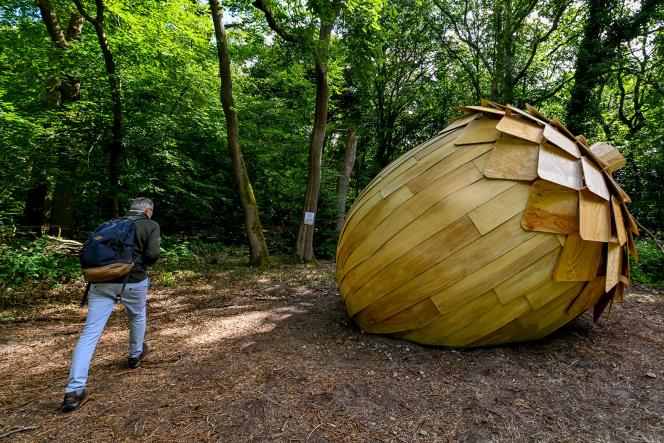 Treize œuvres enchantent la forêt de Roumare