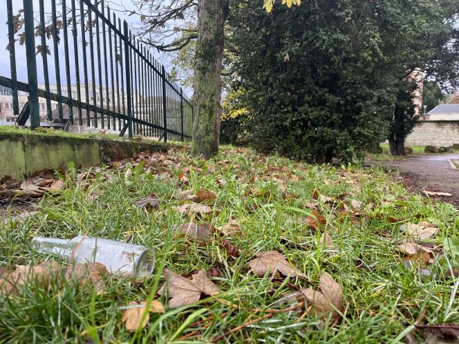 À Troyes, il ne faut plus boire d’alcool la nuit dans les rues Voltaire ...