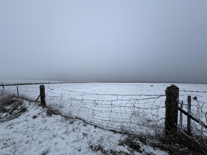 Où en est le projet d’implantation d’un poulailler géant à Matton-et ...